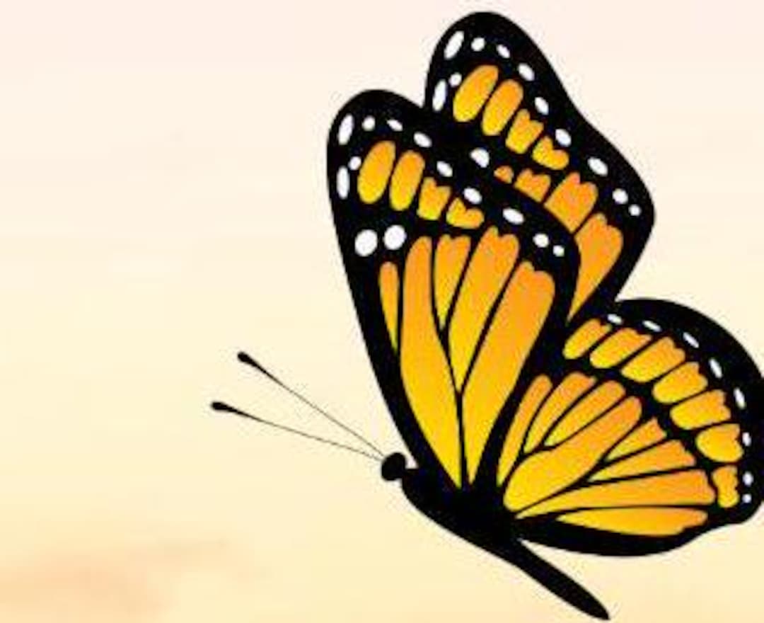 Emergency Sub Plans Butterfly Theme Day Ideal for Grades 2 & 3 - Etsy