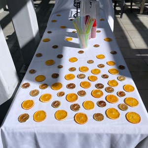 Dehydrated Citrus Box - 80+ Piece Dried Citrus Fruit - Dried Lemon ...