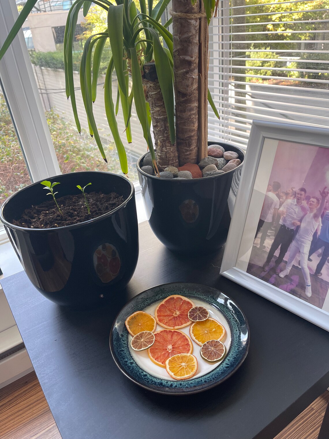 Dehydrated Citrus Box 80 Piece Dried Citrus Fruit Dried Lemon / Lime ...