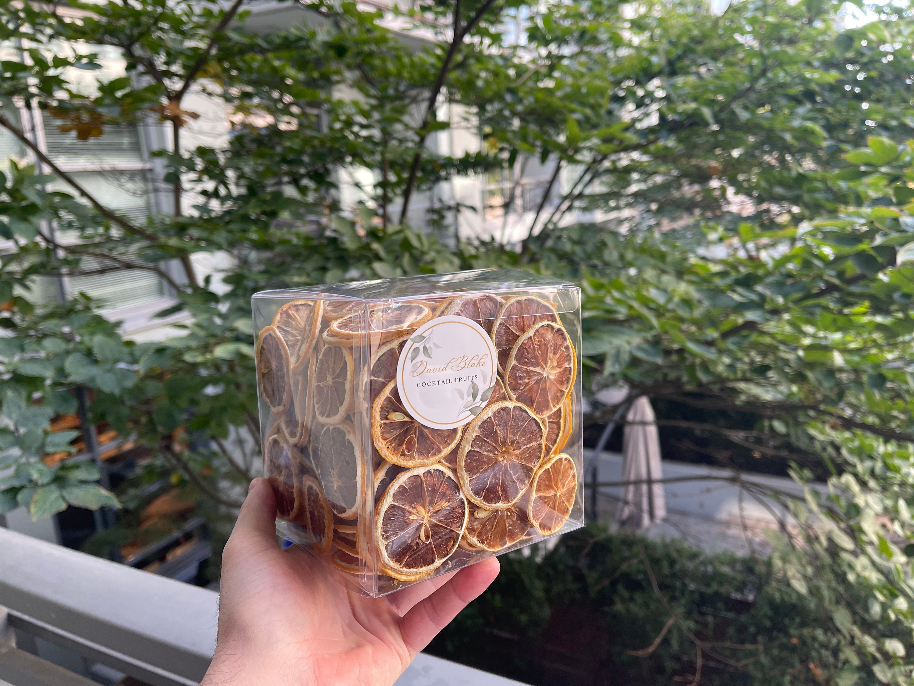 Dehydrated Fruit Box Set - 500 Piece Dehydrated Fruit Mix - 250+ Piece ...