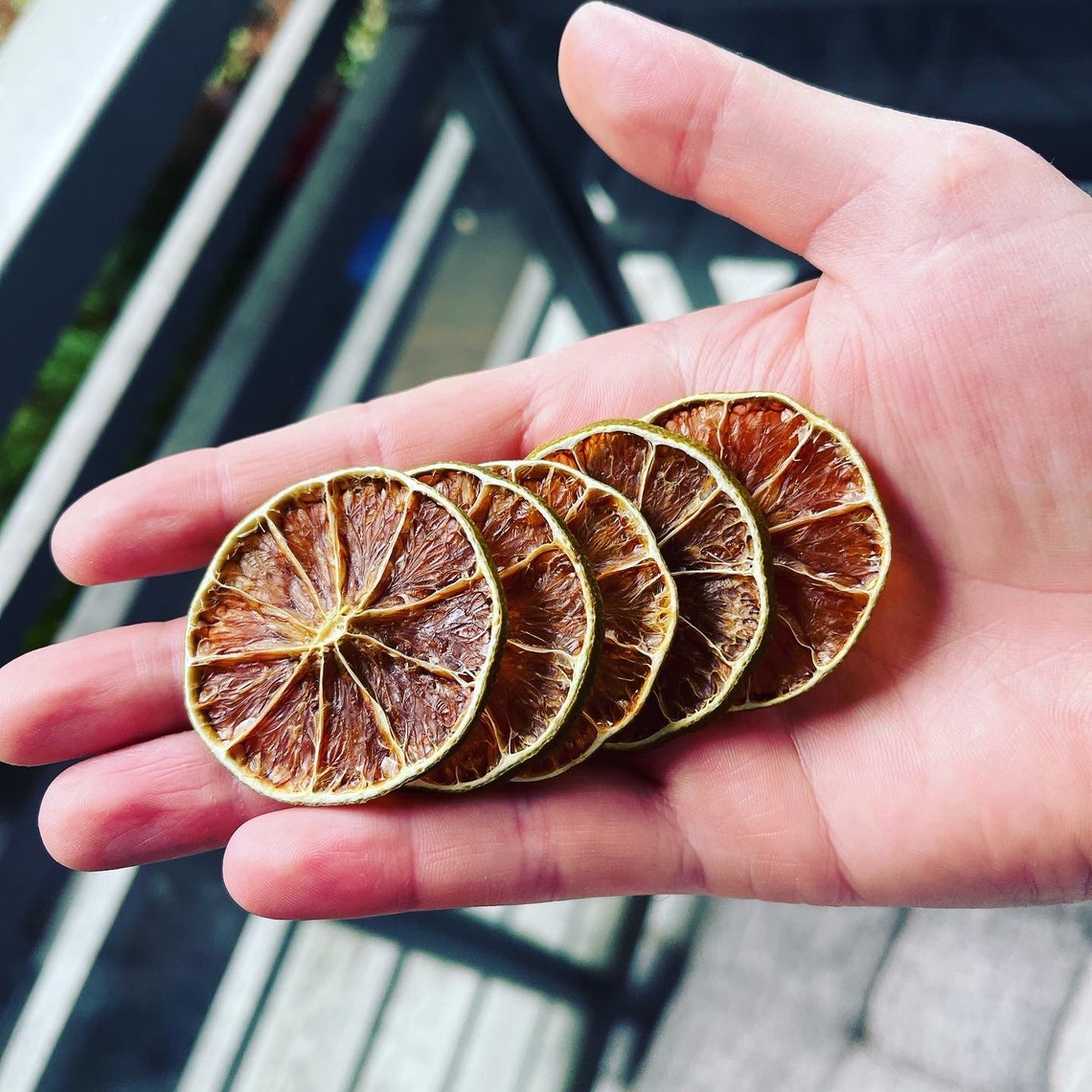 Dehydrated Lime Slices - 250+ Piece Dried Lime Wheels - Large Dried ...