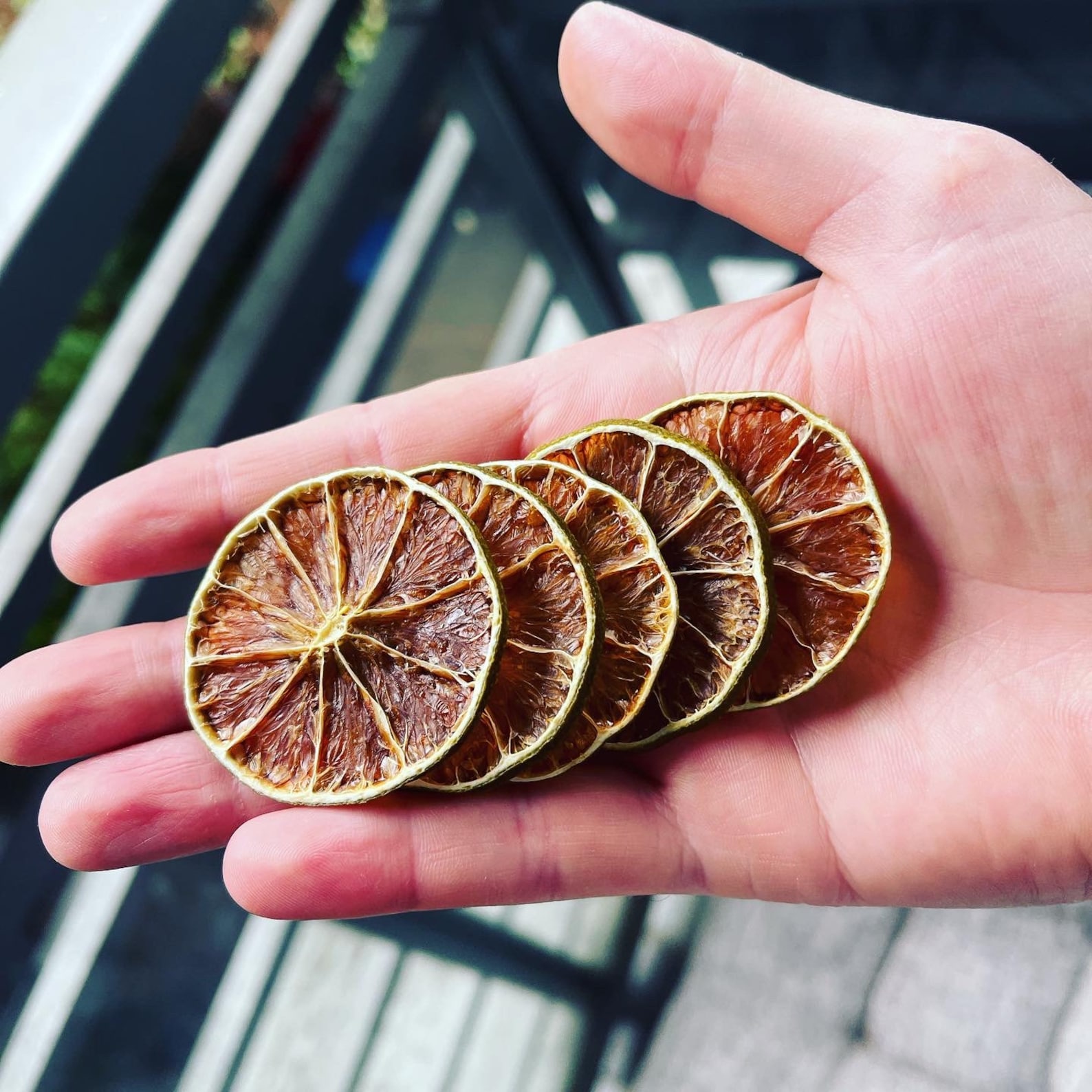 Dehydrated Lime Slices - 250+ Piece Dried Lime Wheels - Large Dried ...