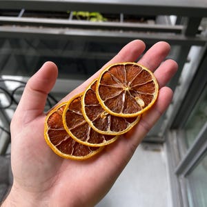 Dried Lemon in Bulk - Dehydrated Lemon - Lemon Wheels - Lemon Slices ...
