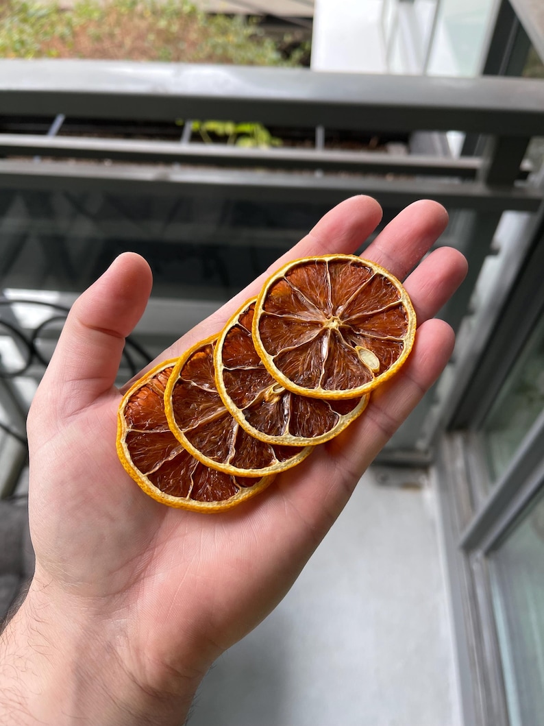 Dried Lemon in Bulk - Dehydrated Lemon - Lemon Wheels - Lemon Slices ...