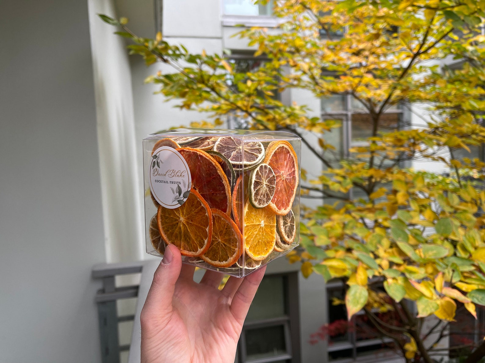 Dehydrated Citrus Box - 80+ Piece Dried Citrus Fruit - Dried Lemon ...