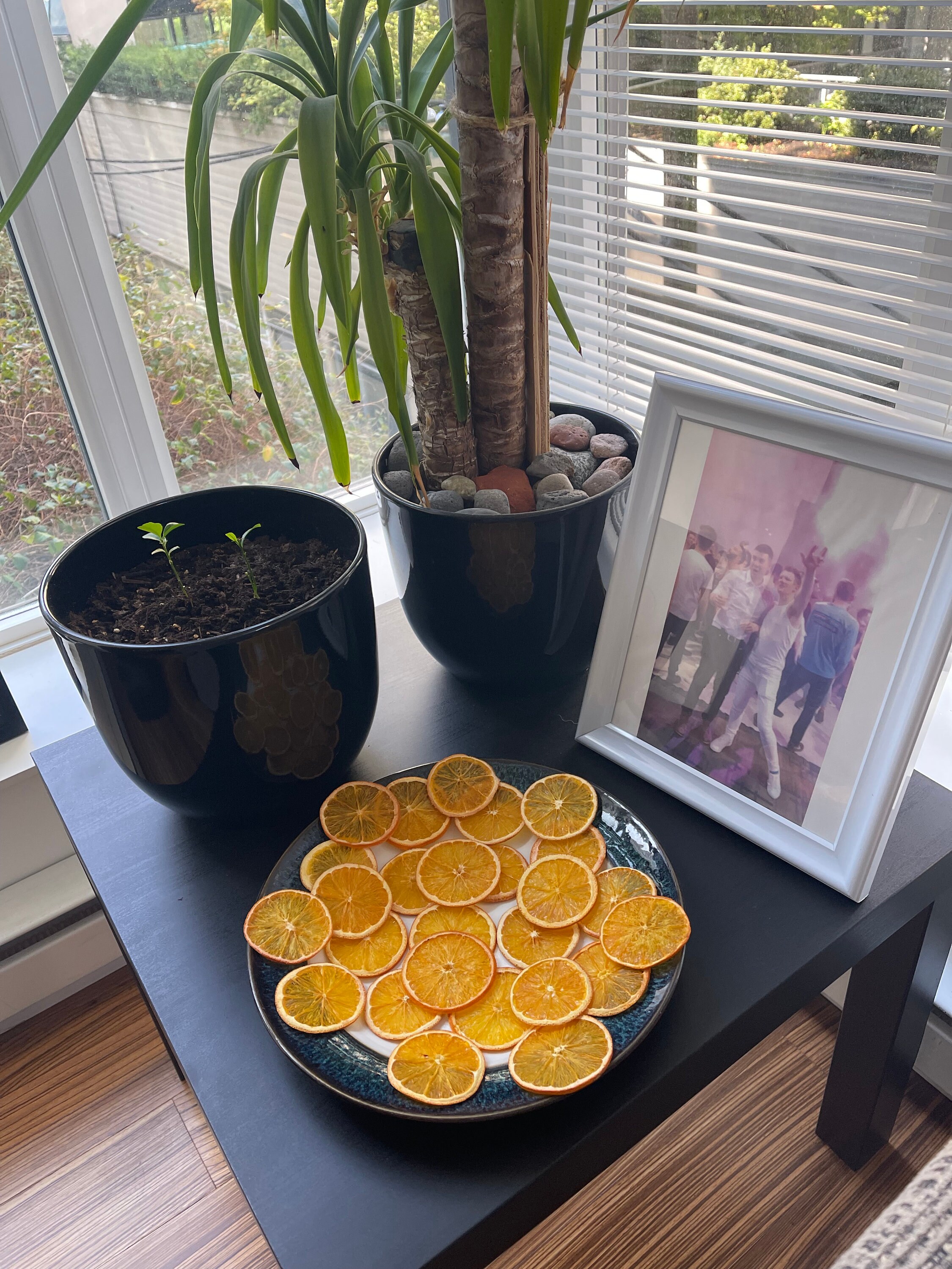 Dried Orange Slices - Dry Orange Wheels - 125+ Piece Orange Box - Tea ...