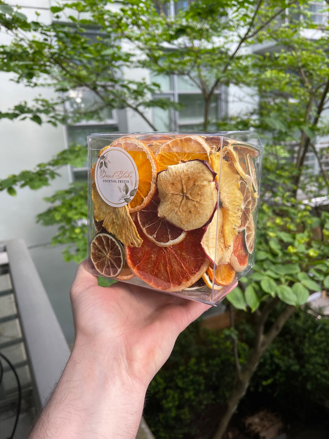 Dehydrated Fruit Mix - LARGE Dehydrated Fruit Mixture - Dried Fruit in ...