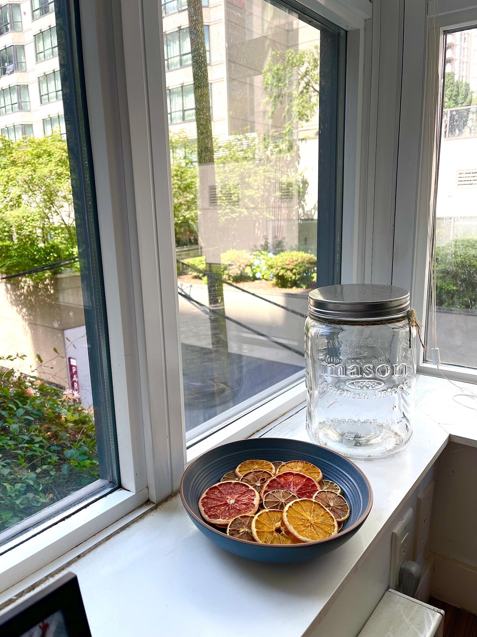 Large Dried Citrus Fruits Mix - Resealable Citrus Bag - 100+ Piece ...