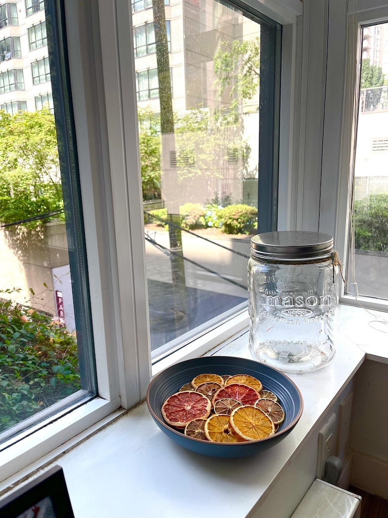 Large Dried Citrus Fruits Mix - Resealable Citrus Bag - 100+ Piece ...