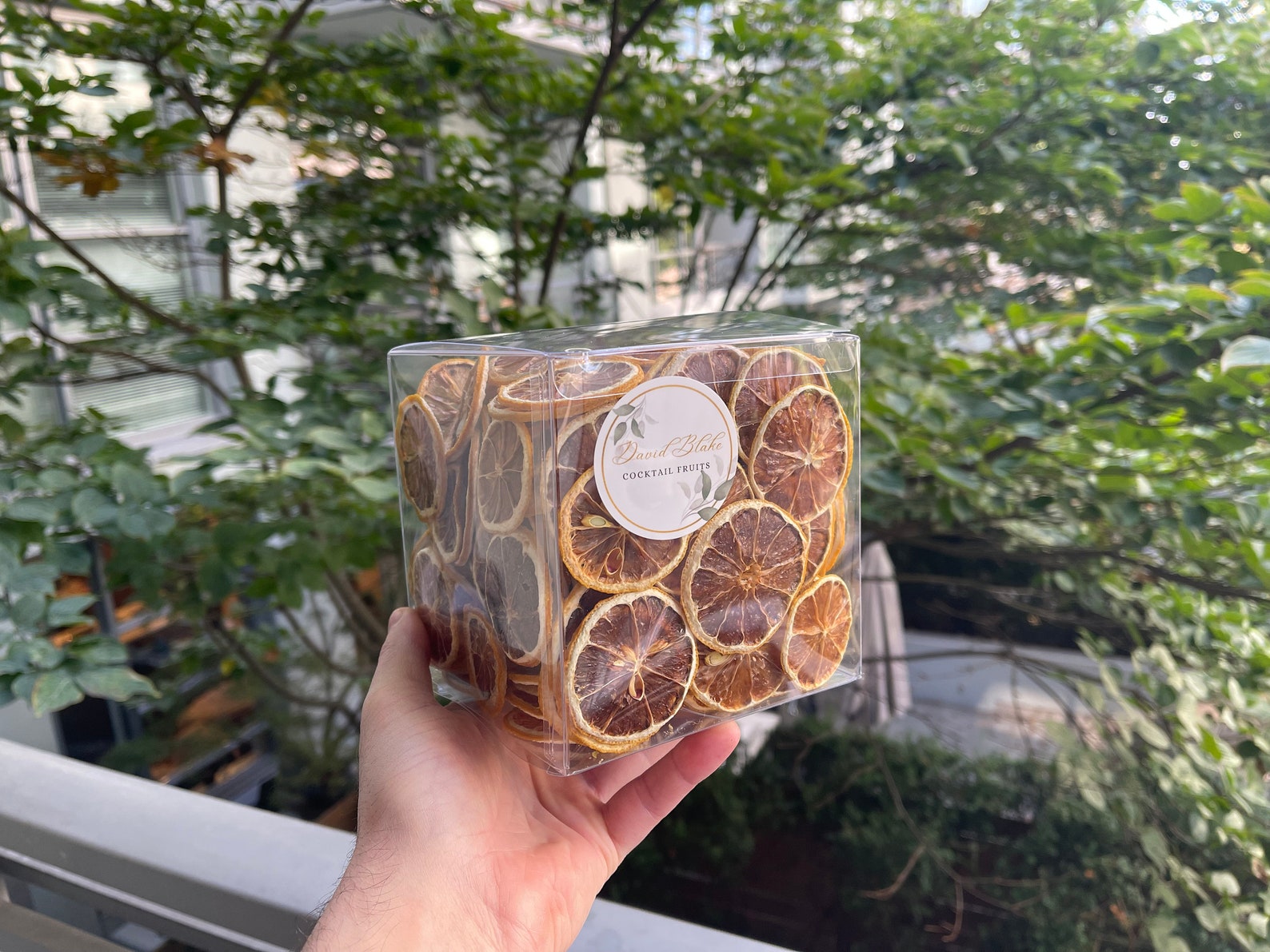 Dehydrated Lemon - 150+ Piece Dried Lemons - Dried Lemon Box - Large ...