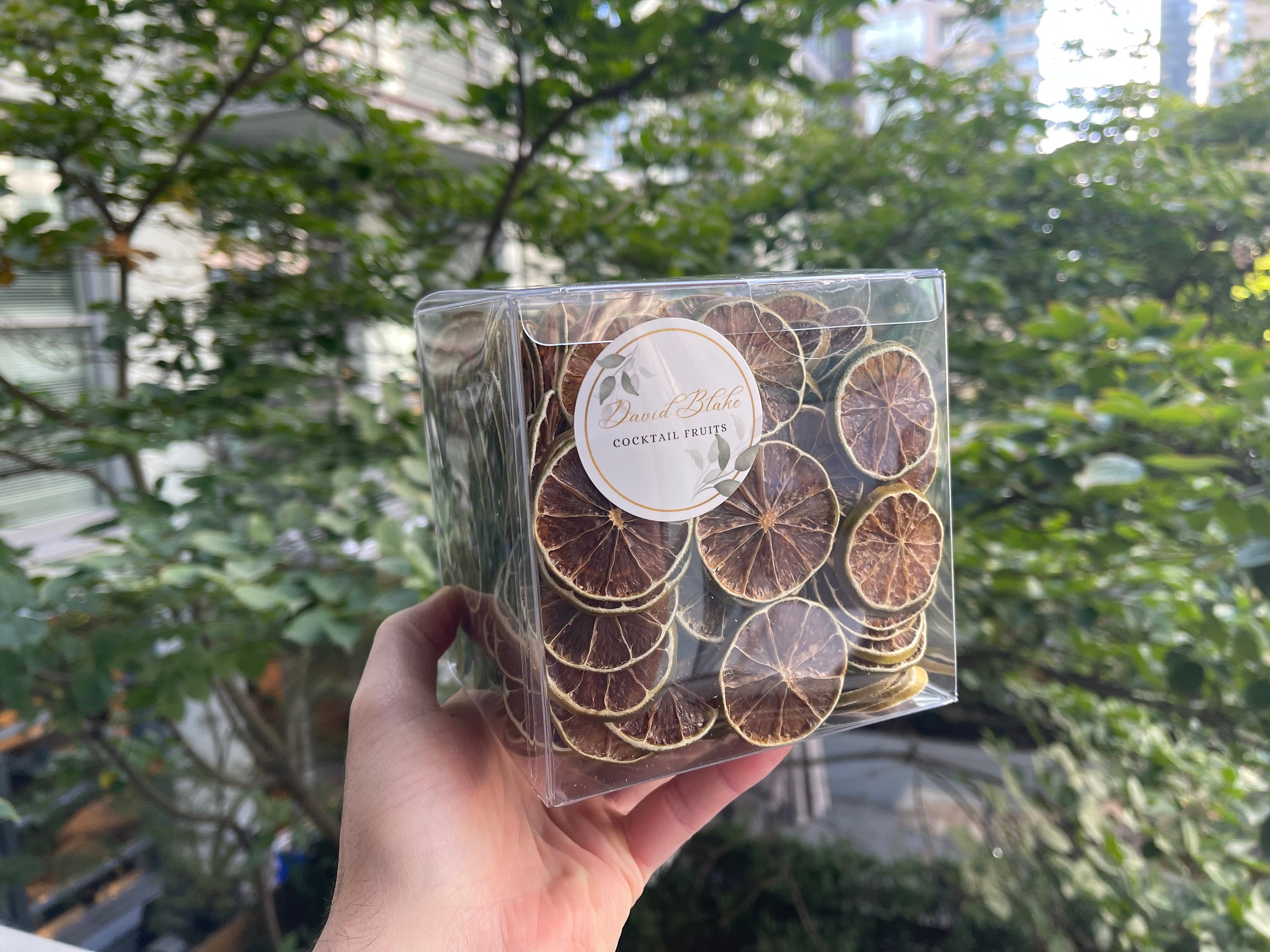 Dehydrated Lime Slices - 250+ Piece Dried Lime Wheels - Large Dried ...