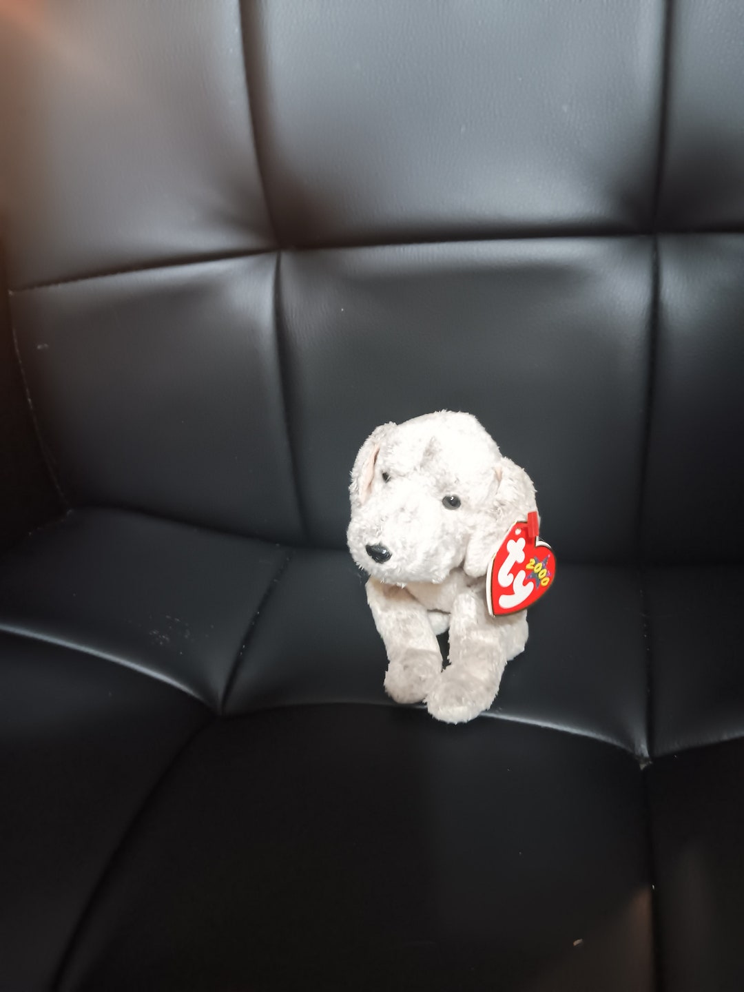 Rare 6th Generation 2000 Beanie Baby - Etsy