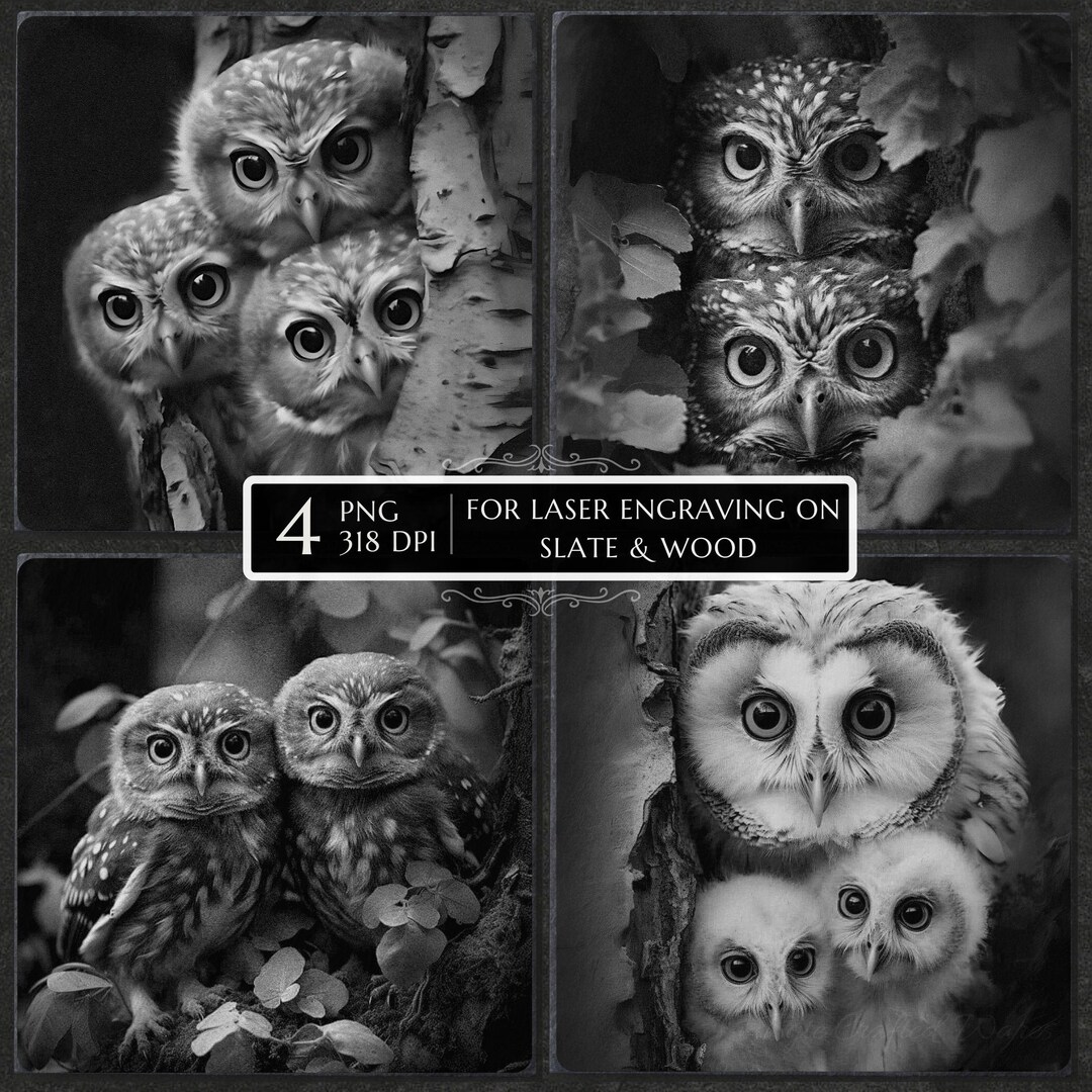 Baby Owl Laser Engraving PNG, Bird Owl Etching, Slate Coaster Etching ...