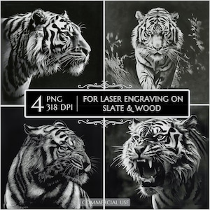 Tiger PNG Laser Ready Engraving File, Slate and Wood Engraving Bundle ...