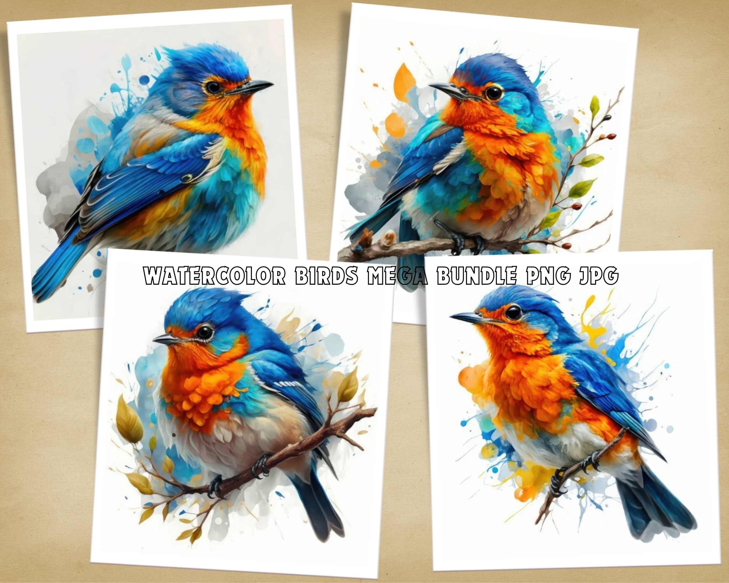 100 Bird Clipart Bundle PNG – Colorful Watercolor Birds Sublimation ...