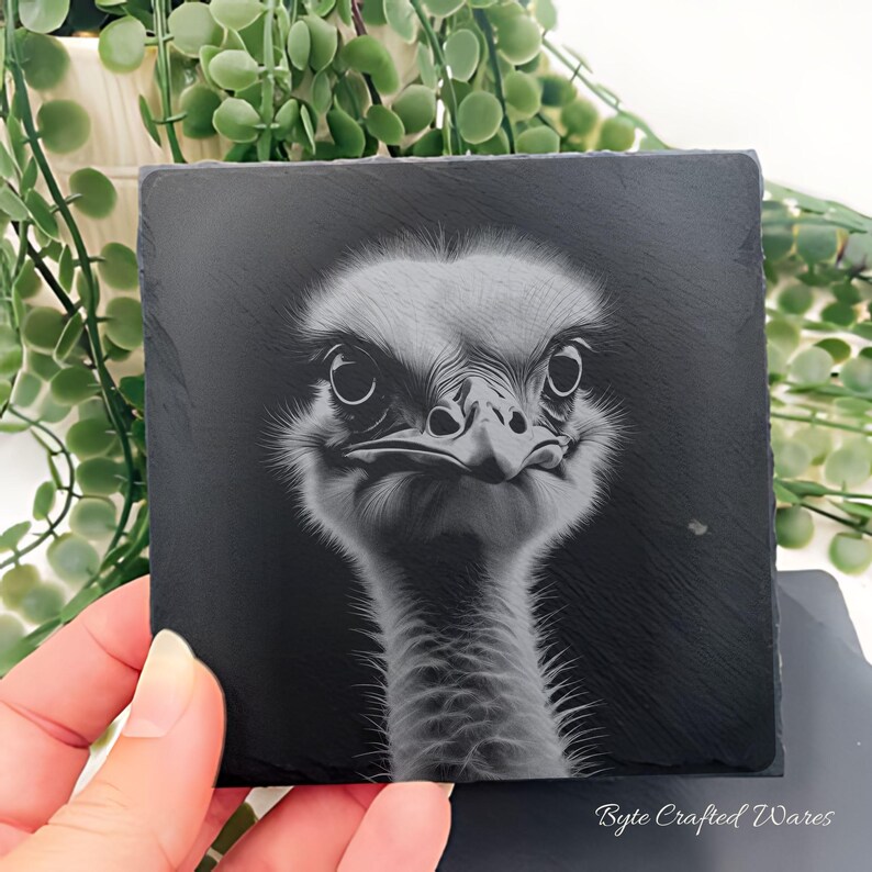 Safari Baby Animals Laser Engraving File, Laser Burn PNG, Cute Wildlife ...