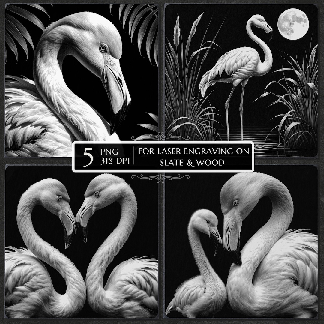 Flamingo - Laser Engraving PNG Files, Tropical Bird, Slate Coaster ...