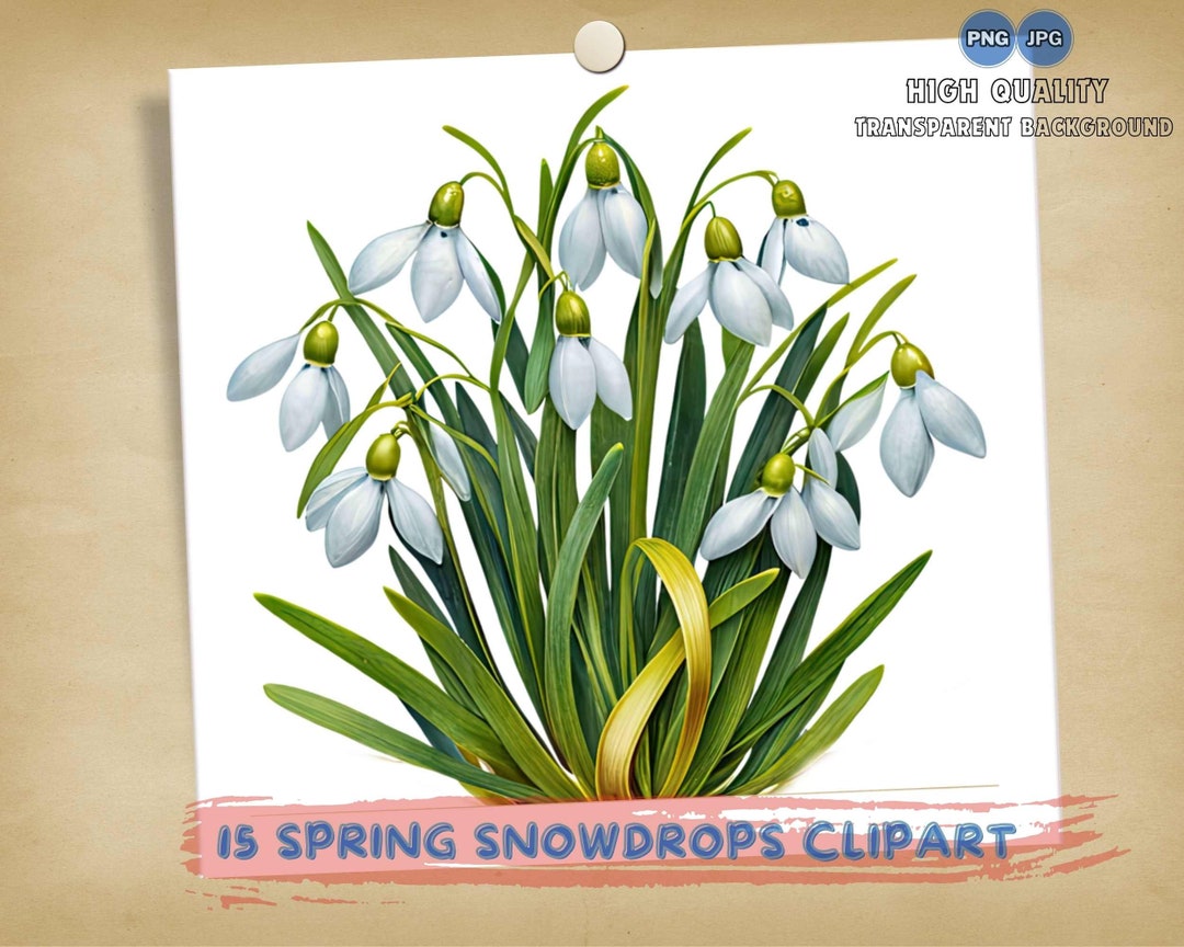 15 Snowdrops Clipart, Spring Flowers Clipart, Printable Watercolor ...