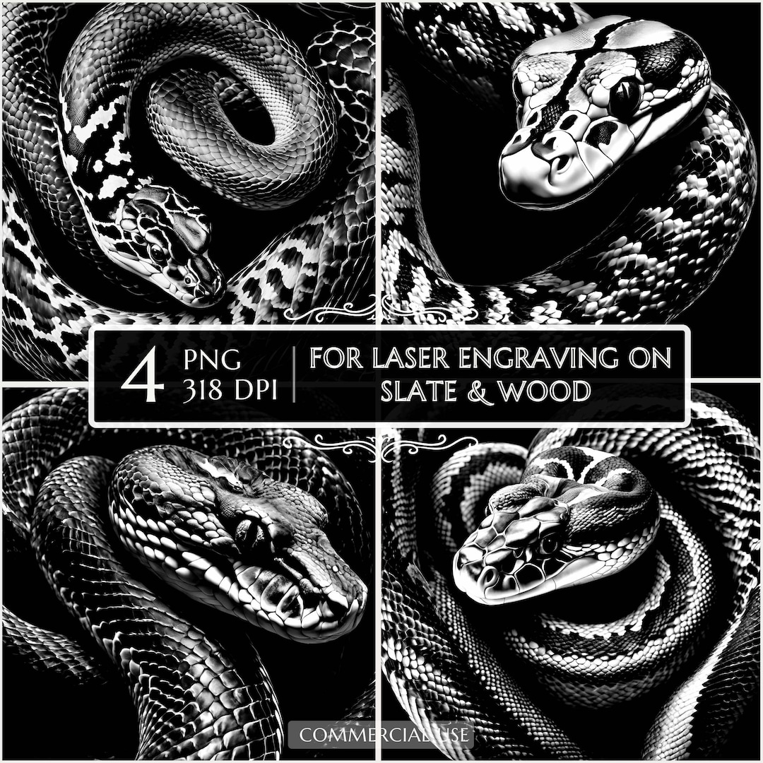 Ball Python Coiled Snake Laser Cut File, Ready Engrave, Laser Burn PNG ...