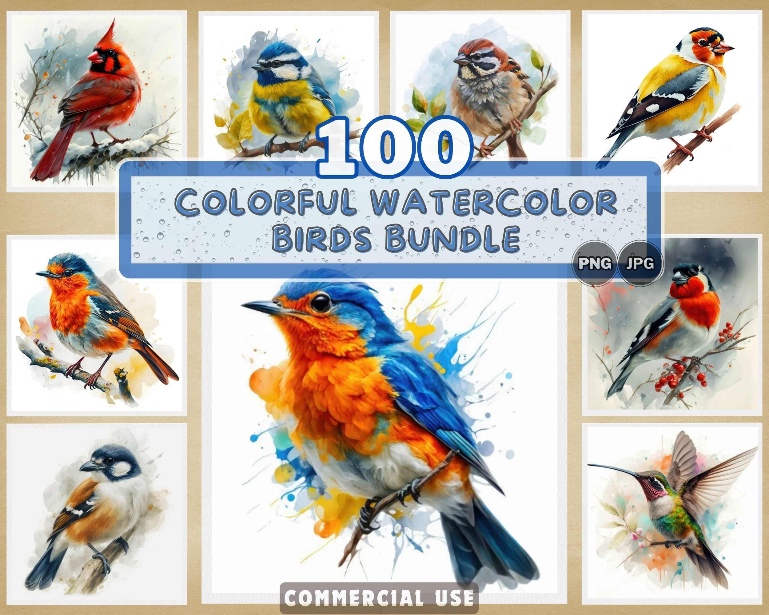 100 Bird Clipart Bundle PNG – Colorful Watercolor Birds Sublimation ...