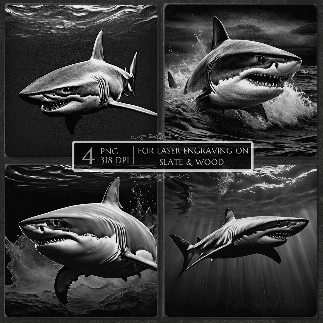 Great White Shark Laser Engraving Files, Laser Burn PNG, Slate Coaster ...