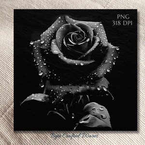 4 Rose Flower PNG, Laser Burn PNG, Slate and Wood Laser Engraving PNG ...