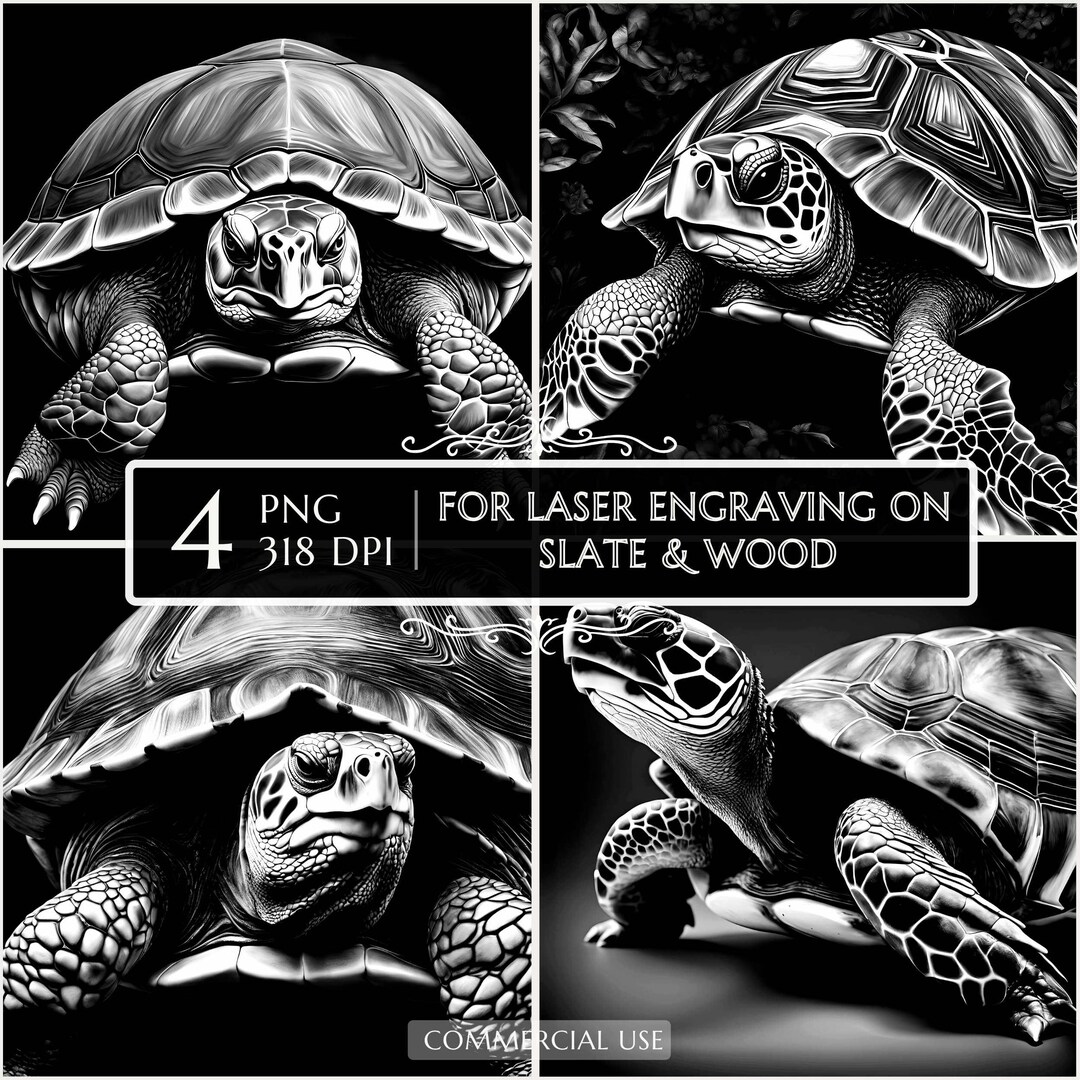 Big Sea Turtle PNG for CNC Laser Ready Engrave, Laser Burn PNG ...