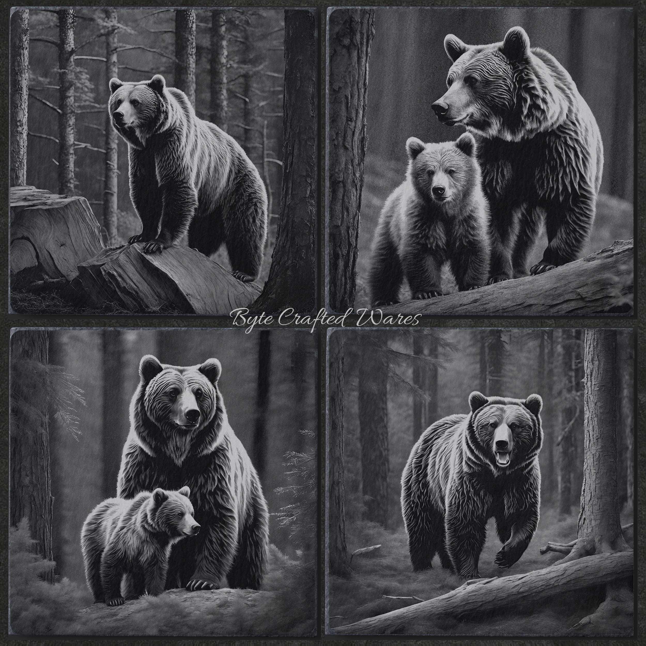 Bear Family in the Forest Laser Ready Engraving PNG File, Slate Board ...