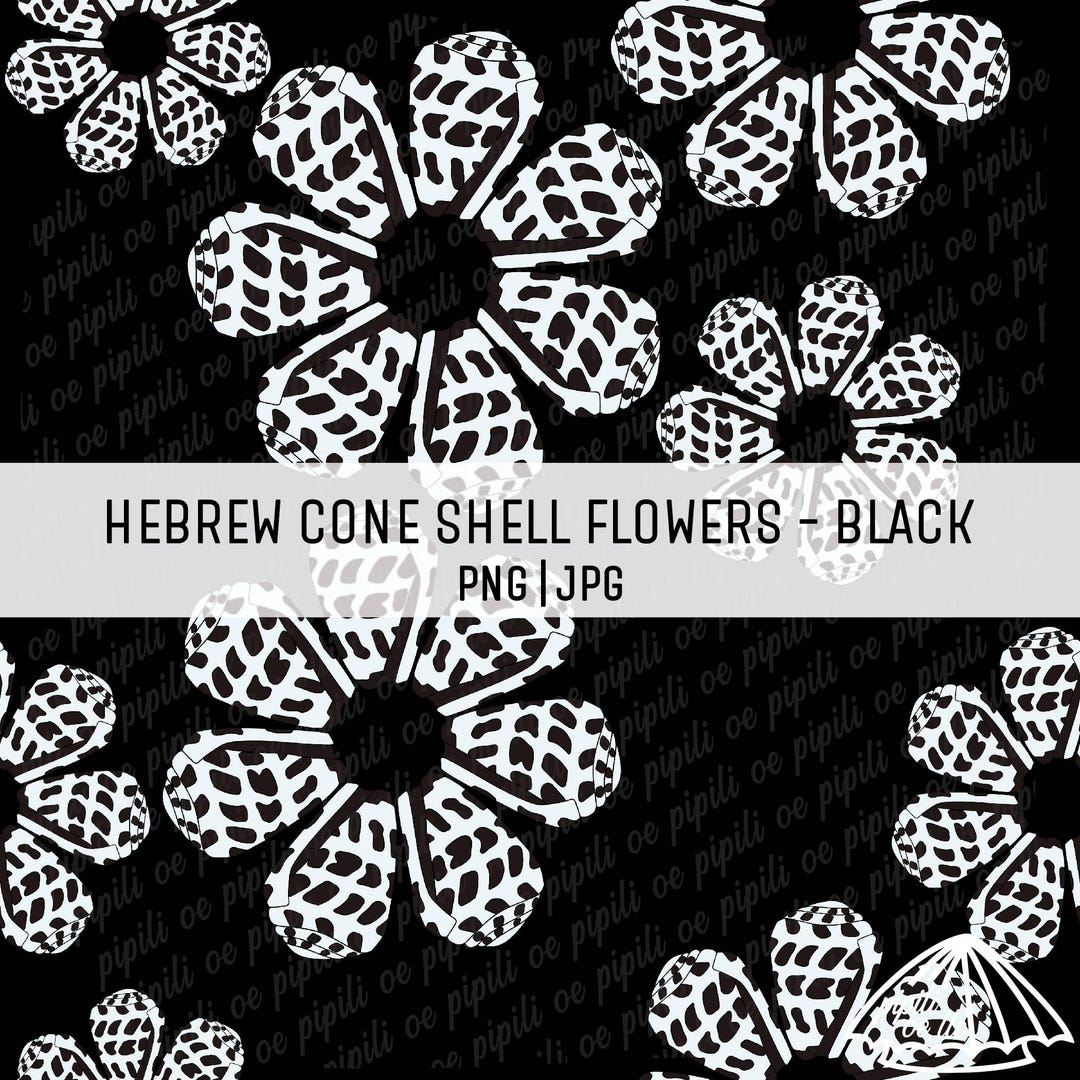 Hebrew Cone Shell Flowers - Black - Sea Shell Pattern - Seamless ...
