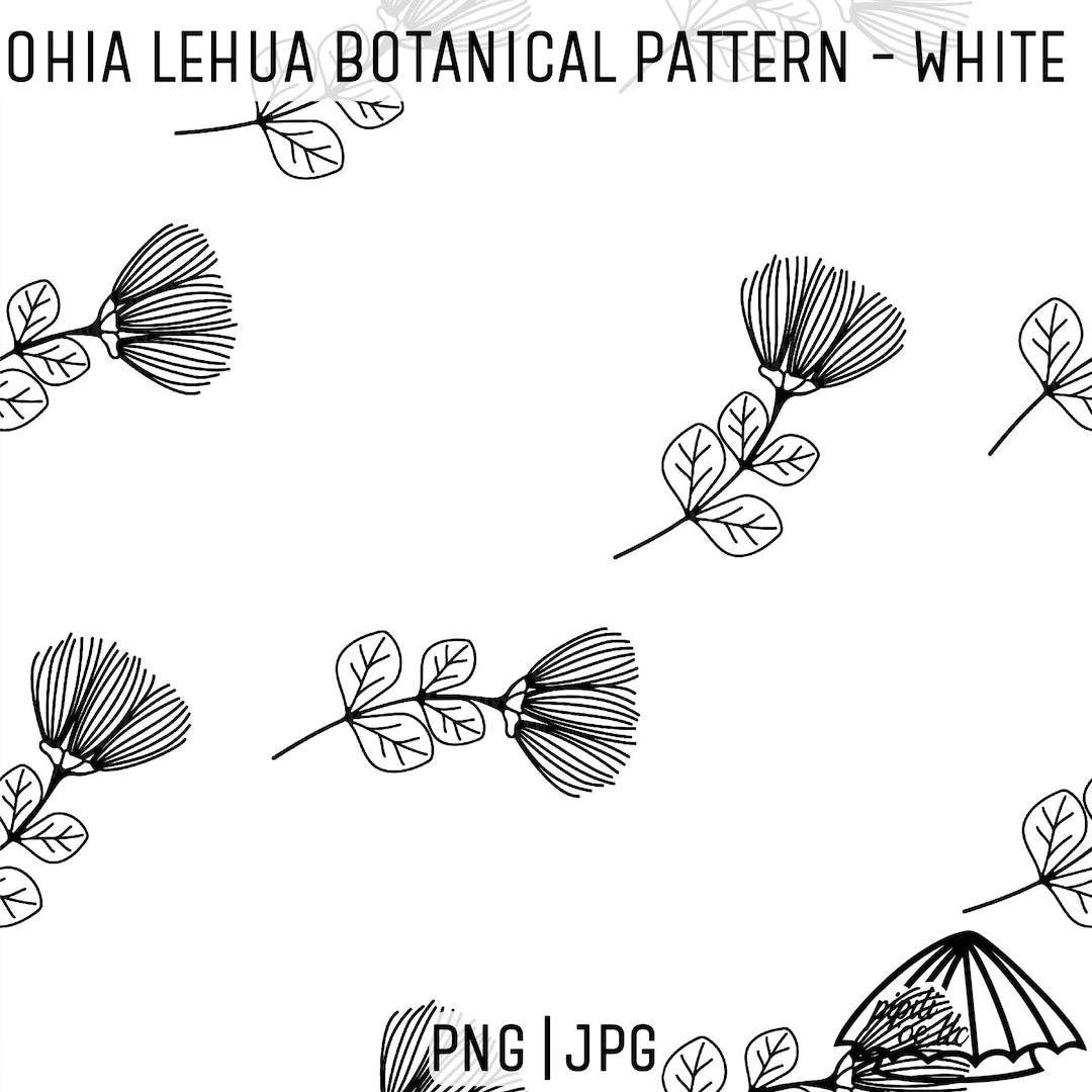 Ohia Lehua Botanical Pattern - White - Botanical Pattern PNG - Floral ...