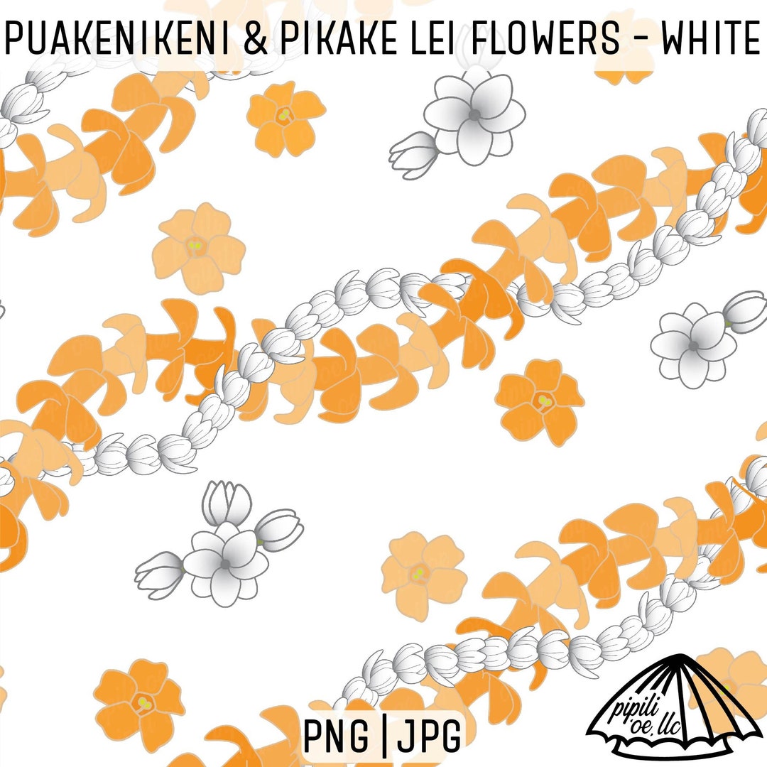Puakenikeni and Pikake Lei Flowers Pattern - White - Hawaii Seamless ...