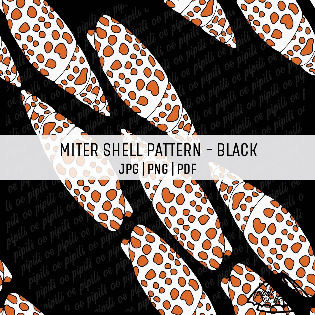Miter Shell Pattern With Black Background - Beach Shell Seamless ...