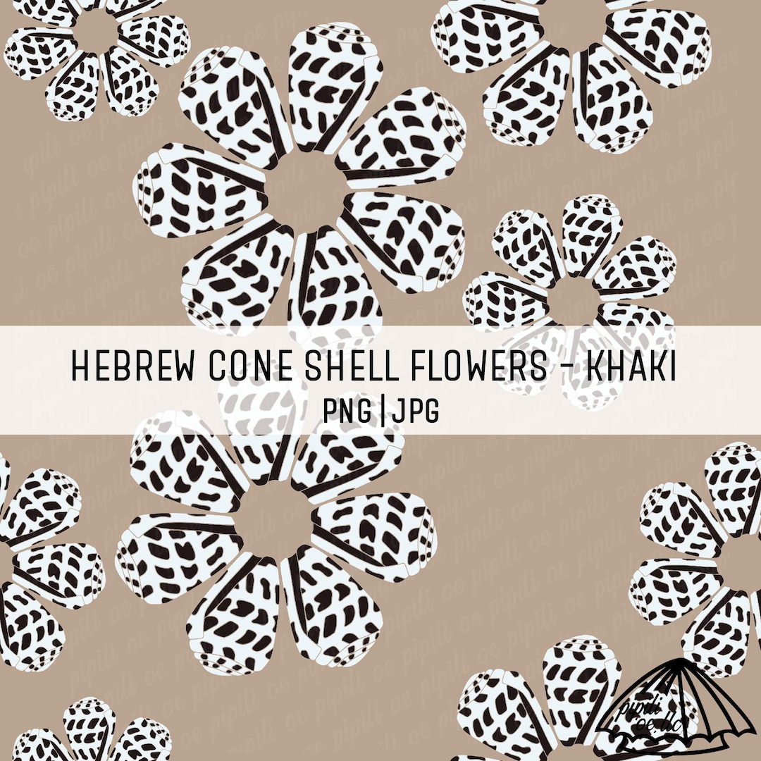 Hebrew Cone Shell Flowers - Khaki - Sea Shell Pattern - Seamless ...
