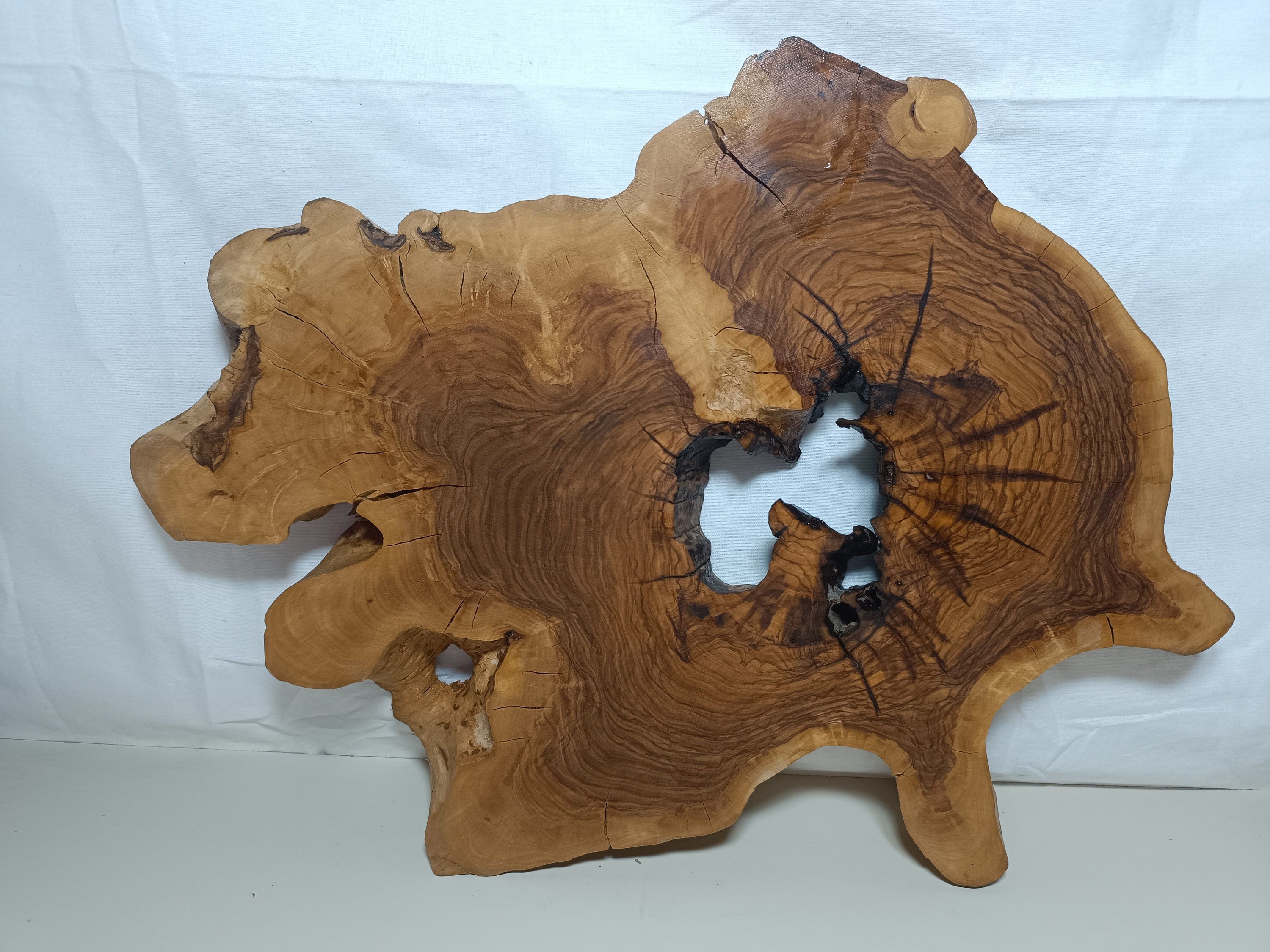 Olive Wood Slab, Unfinished Live Edge Slab for Craft, Tree Slices ...