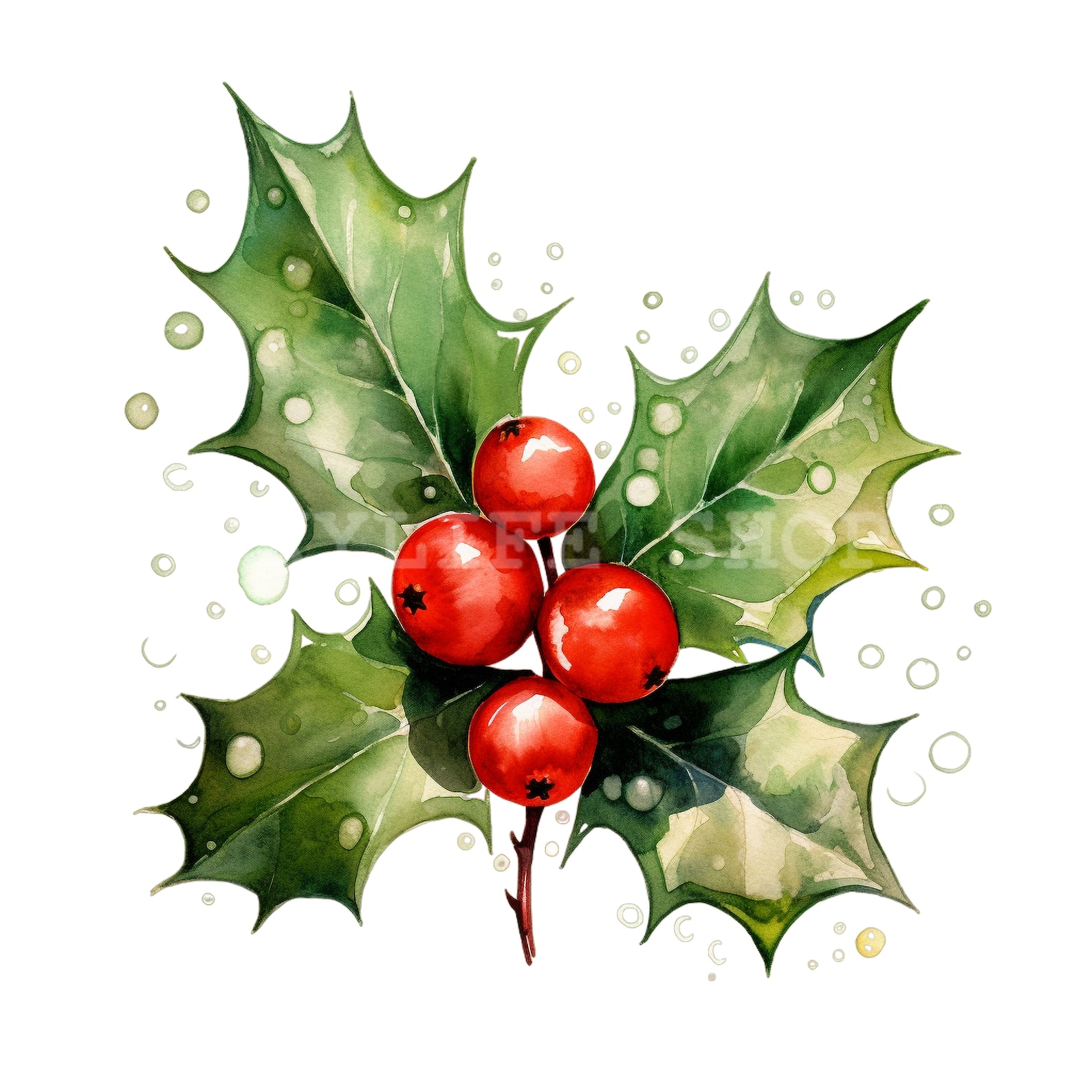 Watercolor Christmas Glossy Holly,clipart 18 High Quality Pngs, Merry ...