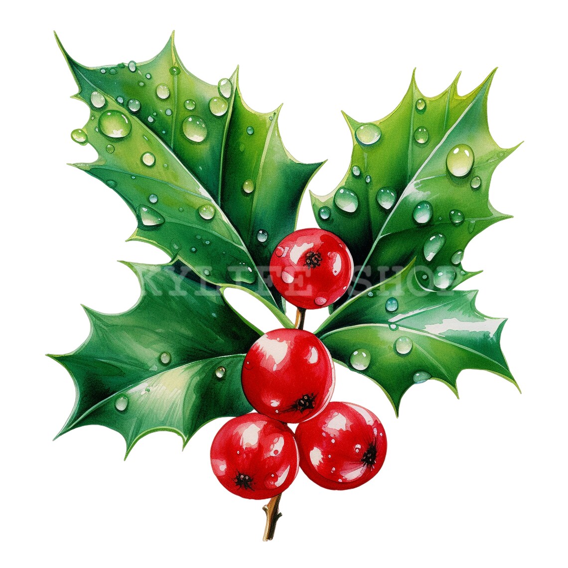 Watercolor Christmas Glossy Holly,clipart - 18 High Quality Pngs, Merry ...