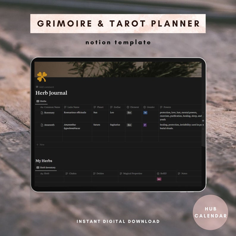 Notion Grimoire Vorlage, Notion Tarot Planer, Witchy Digital Planner, Dark Academia Notion ...