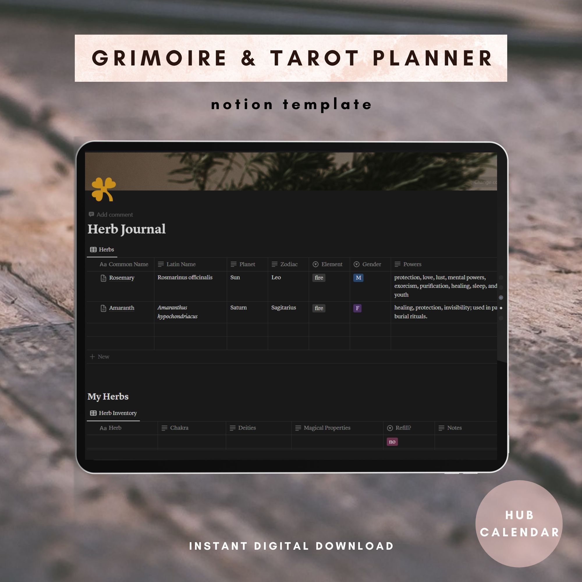 Notion Grimoire Template: Witchy Tarot Planner, Dark Academia (digital Download) - Etsy