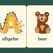 Wildlife Adventure: Animal Alphabet Flash Cards for Kids - Etsy
