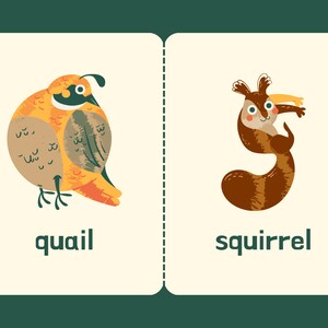 Wildlife Adventure: Animal Alphabet Flash Cards for Kids - Etsy