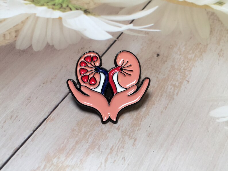 Kidney, Liver, Organ Anatomy Enamel Pin Medical Science Badge Pin Lapel ...