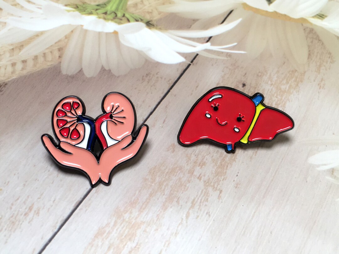 Kidney, Liver, Organ Anatomy Enamel Pin Medical Science Badge Pin Lapel ...