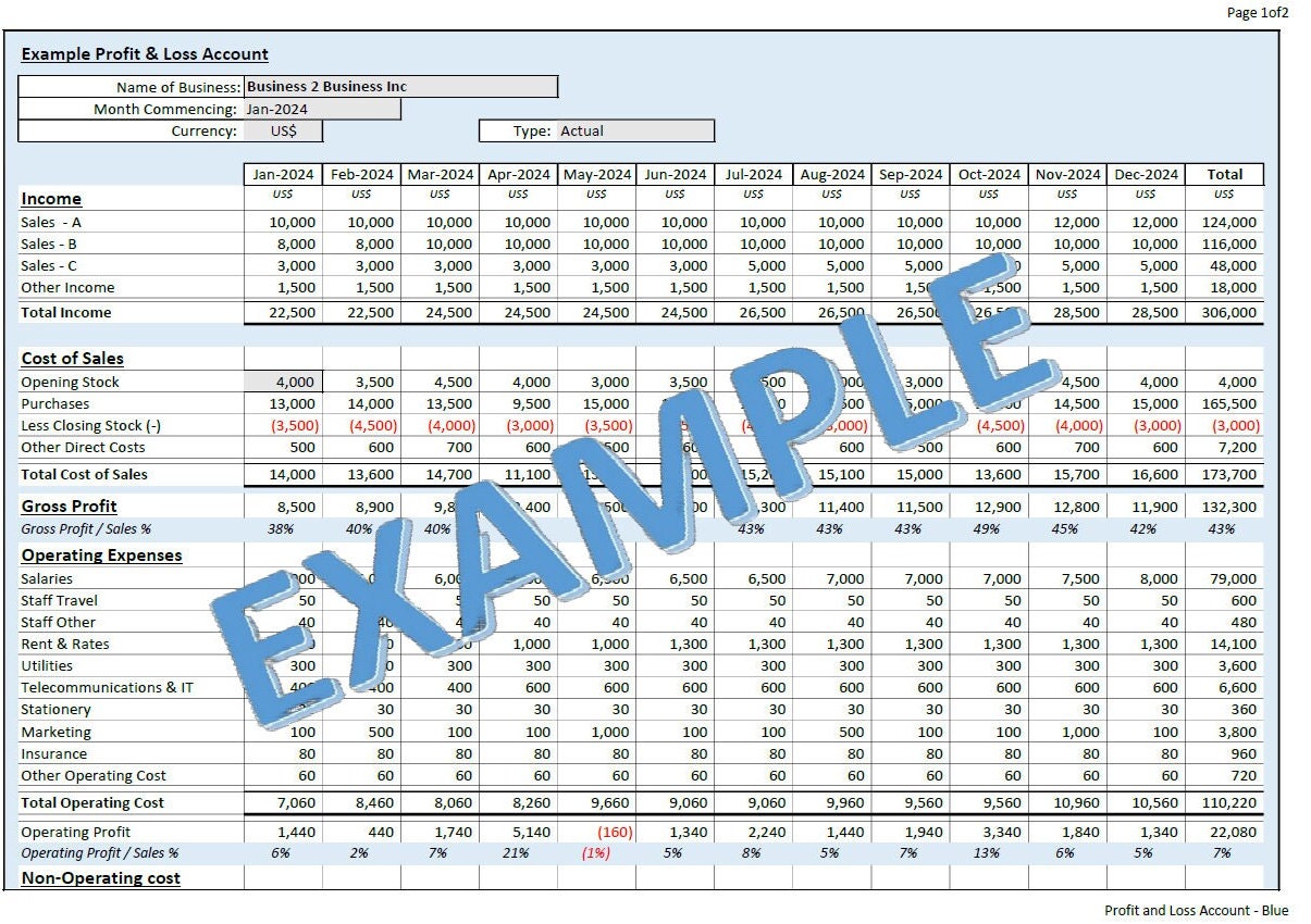 Profit & Loss Account - 12 Month Actual / Forecast - Blue - Excel ...