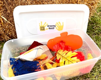 Fall I Spy Sensory Bin Autumn Sensory Bin - Etsy