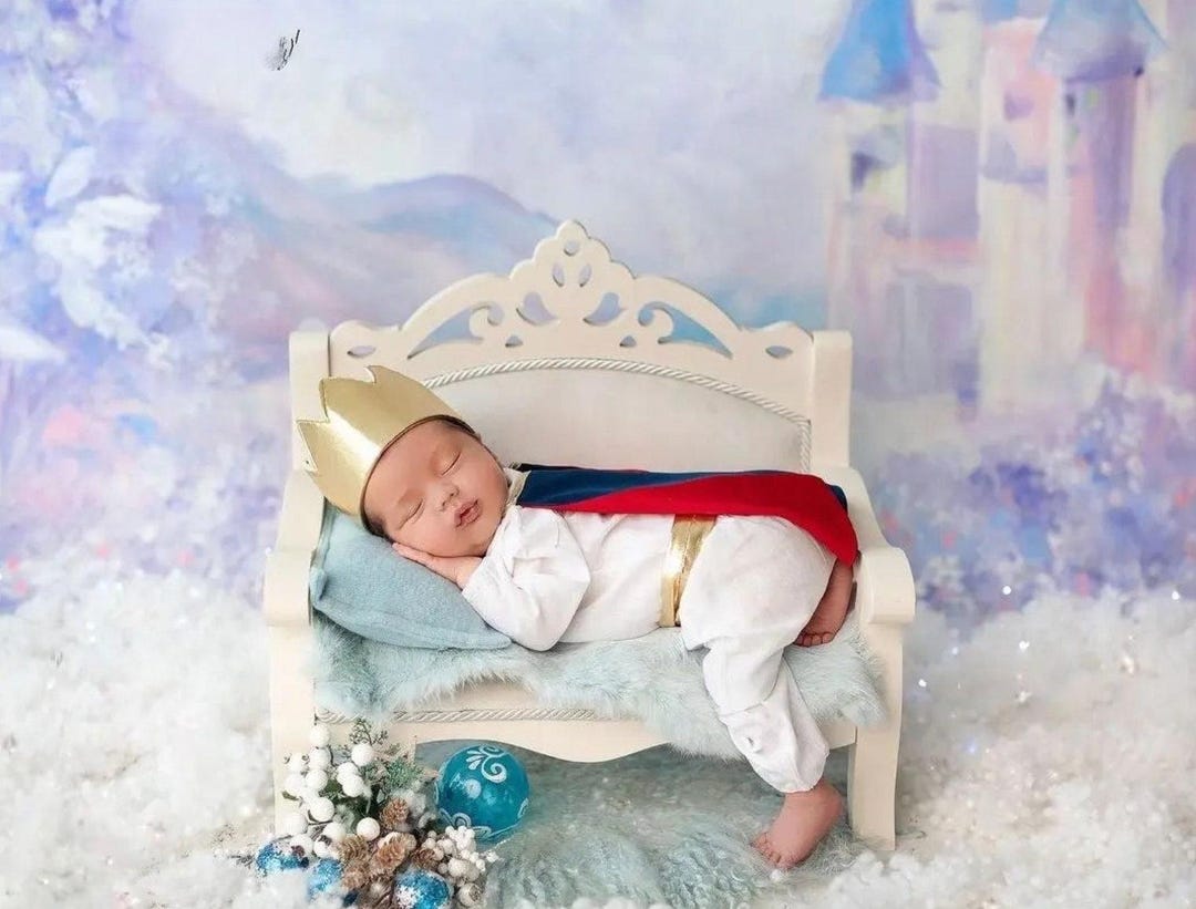 El traje del principito, el traje del pequeño cumpleaños, el traje de ...