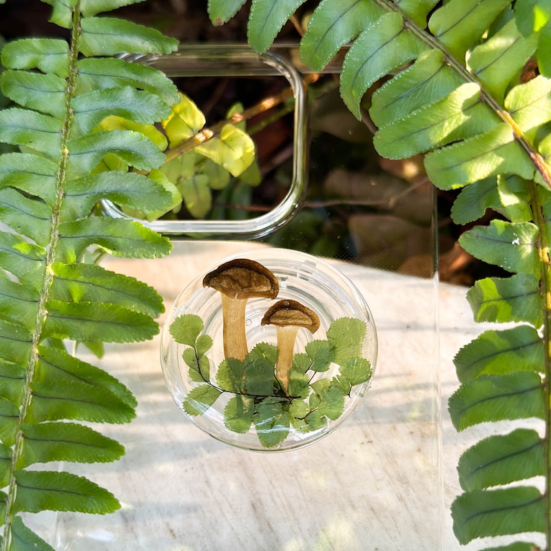 Phone Pop Socket Fern - Etsy UK