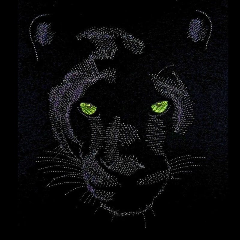 Panthers Embroidery - Etsy