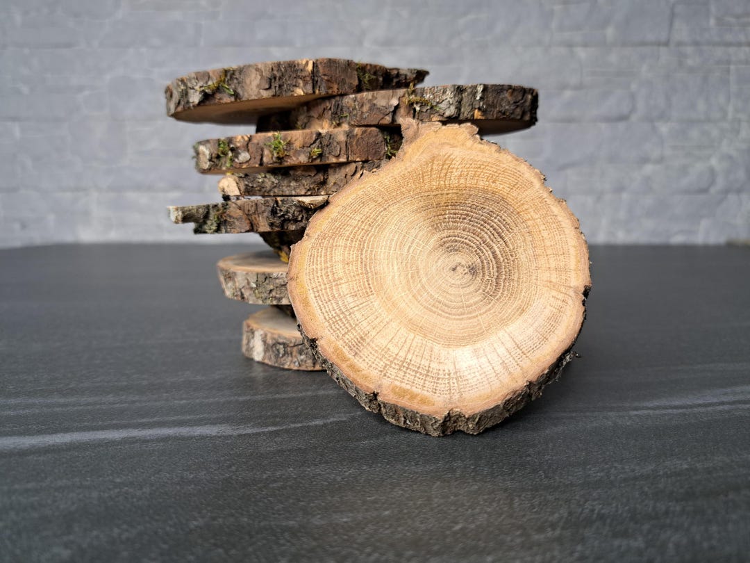Natural Oak Wood Slices for Crafts Wedding Decor DIY Projects Rustic ...