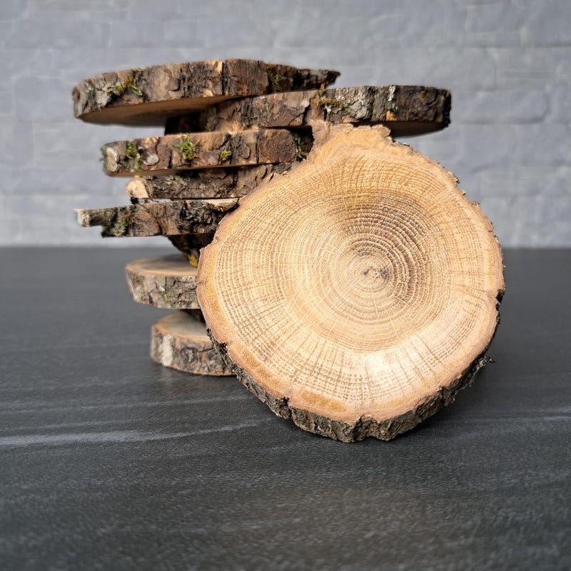 Oak Wood Slice - Etsy