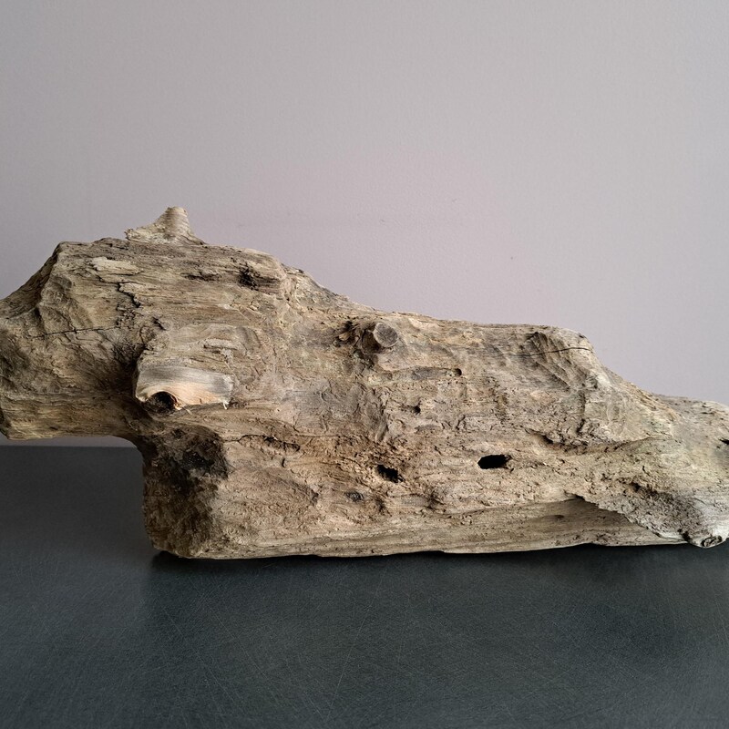 Large Driftwood - Etsy